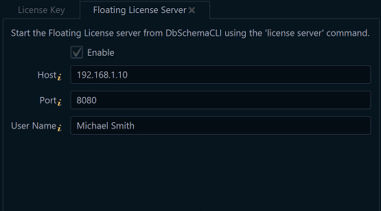 Share licenses in team using Floating License Server