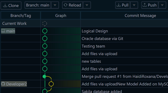 Design database schema in a team